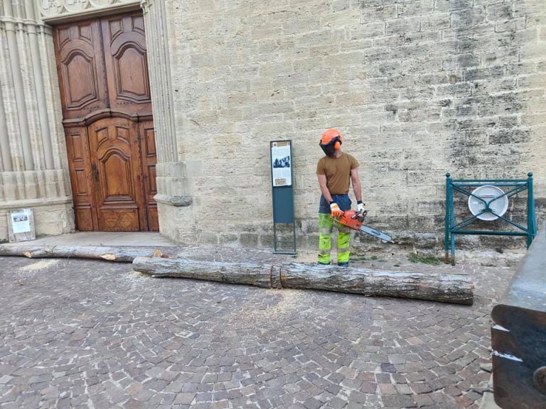 Découpe de l’arbre de mai – Cucuron | Village au coeur du Luberon